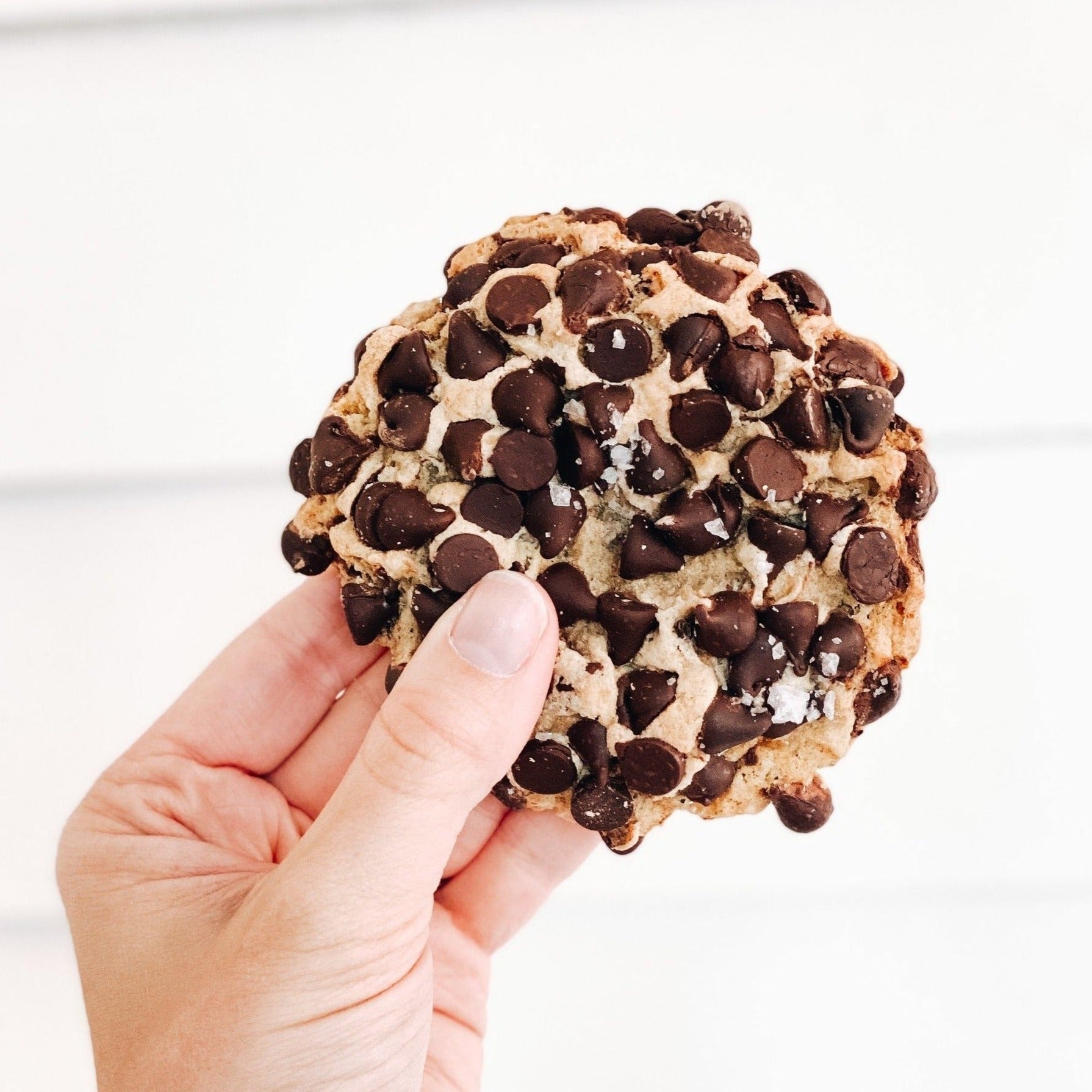 Gibby Cookie – WrenhouseBakery